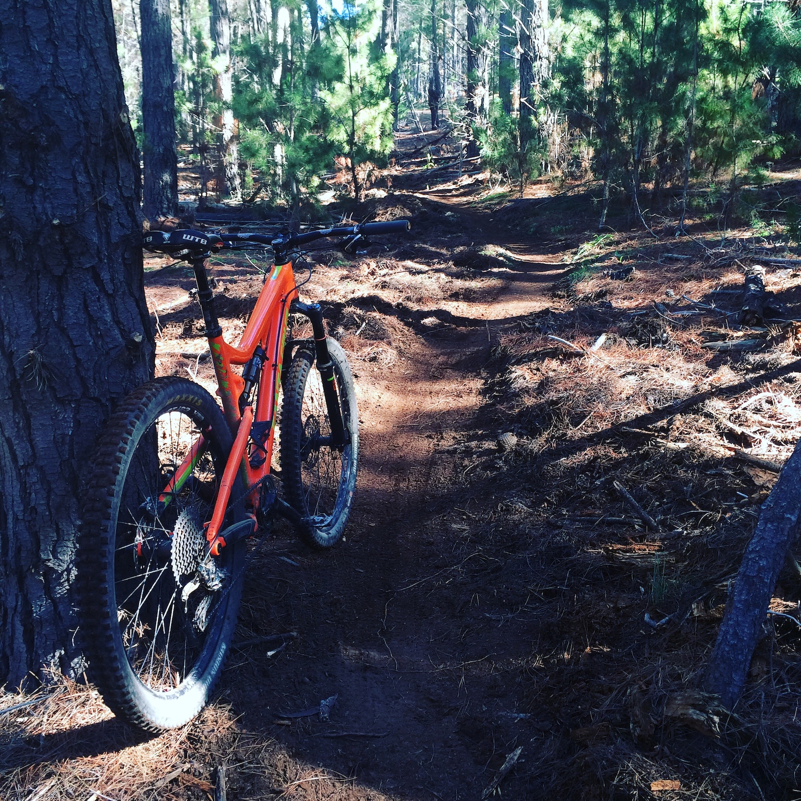 Green Loop – Majura Pines Trail Alliance